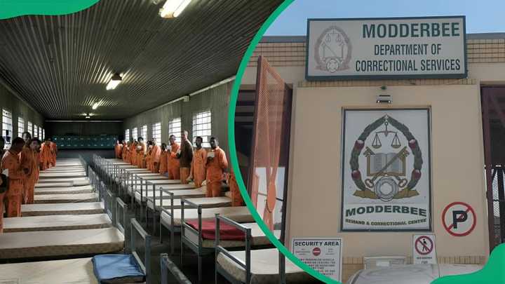 List of 15 maximum prisons in South Africa in 2024: Worst prisons in SA ...