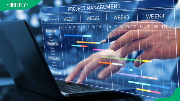 Project manager salary in SA: how much can you earn in 2024? - Briefly ...