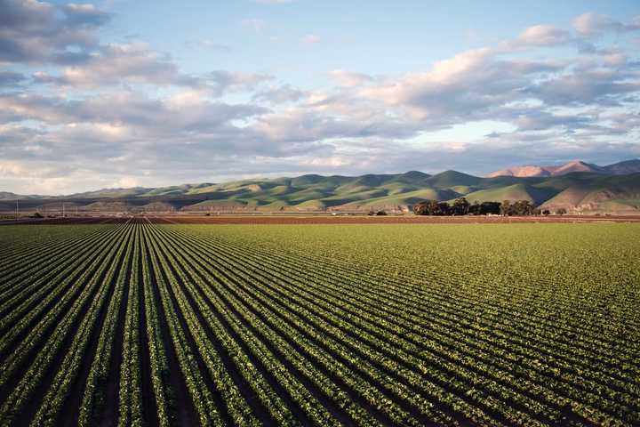 Complete list of SETAs in South Africa and their contact details ...