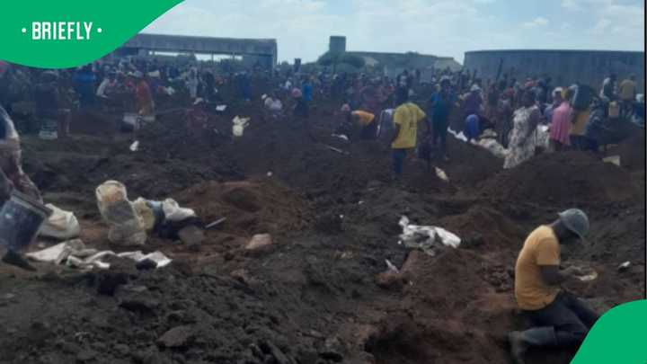 Gold Fever Hits Springs as Locals Continue Digging for Gold Following ...