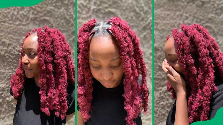 45 Butterfly locs hairstyles and everything you need to know - Briefly ...