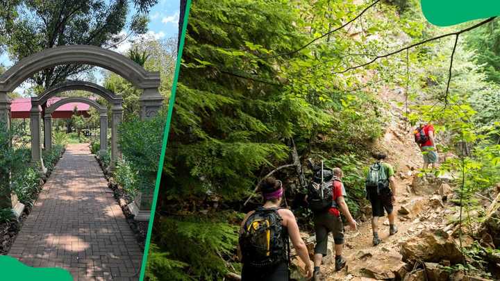 Best things to do in Centurion: Parks, markets & hidden gems - Briefly ...