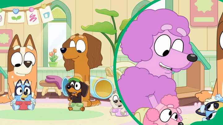 Heart-wrenching sad Bluey episodes that will make you cry - Briefly.co.za