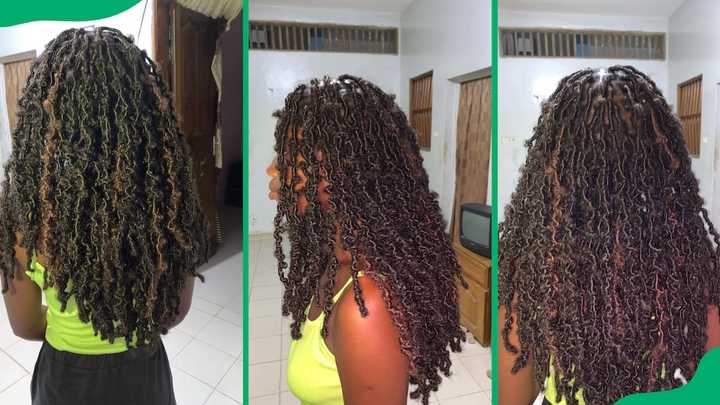 45 Butterfly locs hairstyles and everything you need to know - Briefly ...