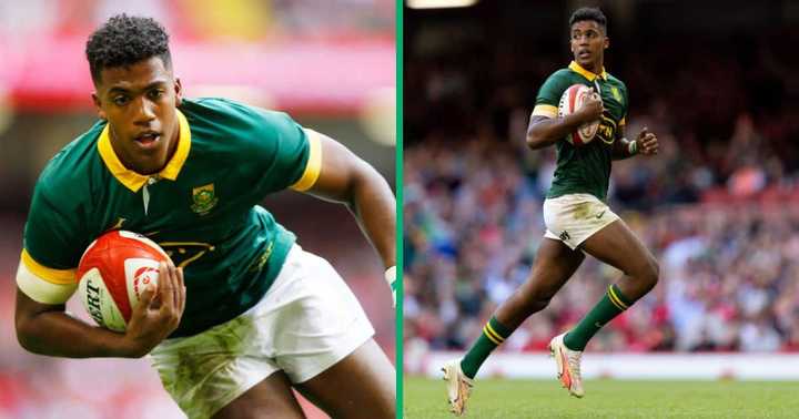 Springbok Player Canan Moodie’s Lockdown Training Video Galvanises ...