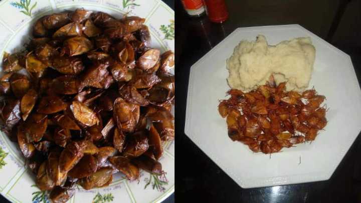 20 must-try Zimbabwe traditional food recipes (with images) - Briefly.co.za