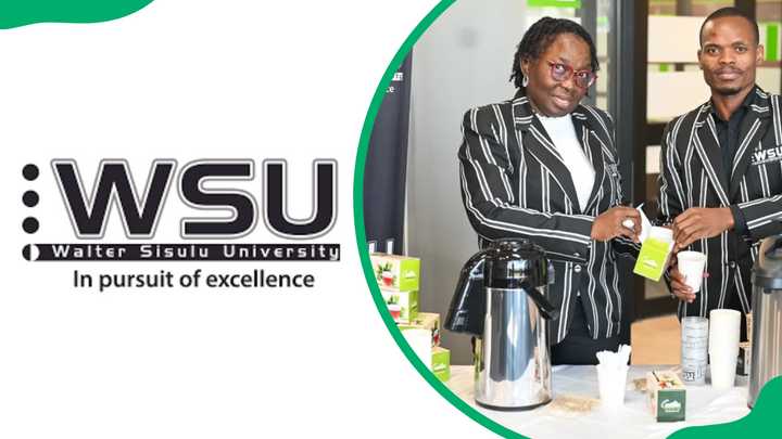 Walter Sisulu University courses in 2025: requirements, application ...