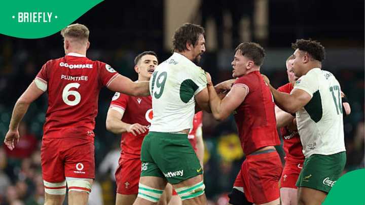 Springboks’ Eben Etzebeth Could Receive Long Ban After Eye-Gouge ...