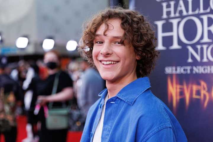 Who is Mason Thames, the 'How to Train Your Dragon' actor? - Briefly.co.za