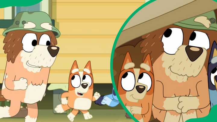 Heart-wrenching sad Bluey episodes that will make you cry - Briefly.co.za