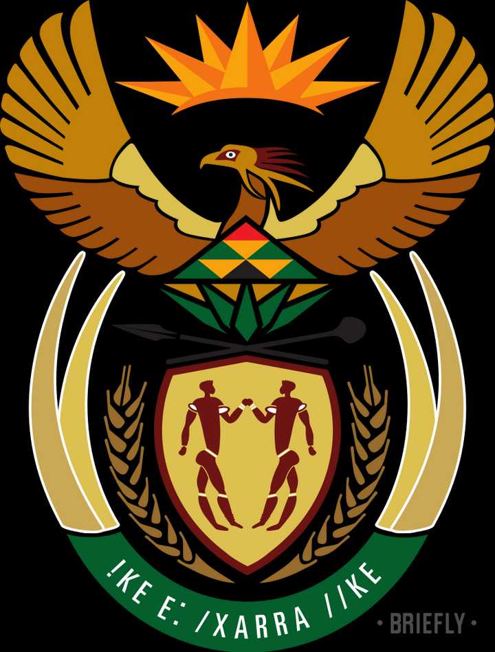 South African coat of arms explained in simple terms - Briefly.co.za