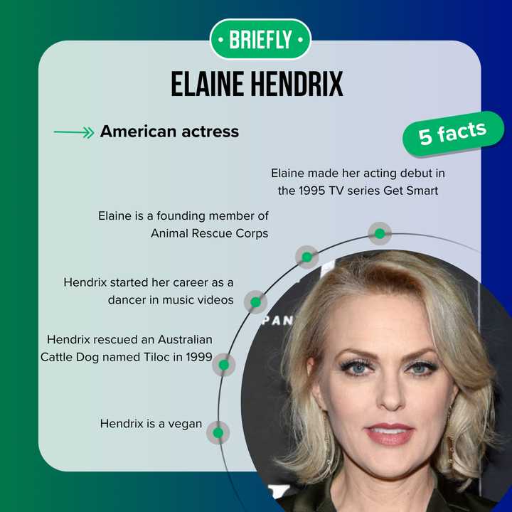 Elaine Hendrix's husband: is the Dynasty actress currently married ...