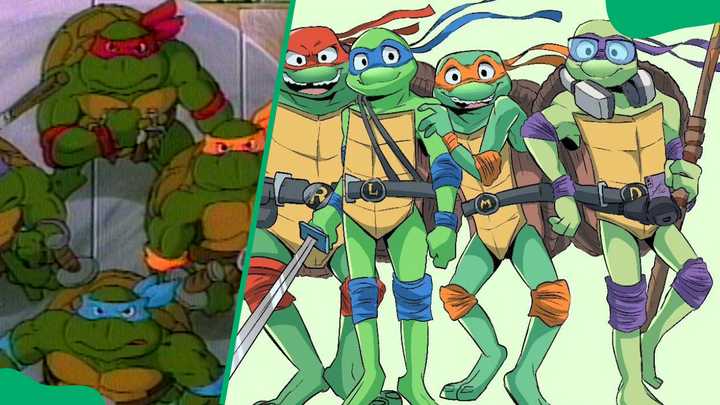How tall are the Ninja Turtles? Discover their heights and fun facts ...