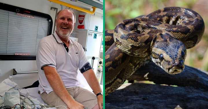 England Man Fights 13 Foot Python Which Tries To Bite and Squeeze Him ...