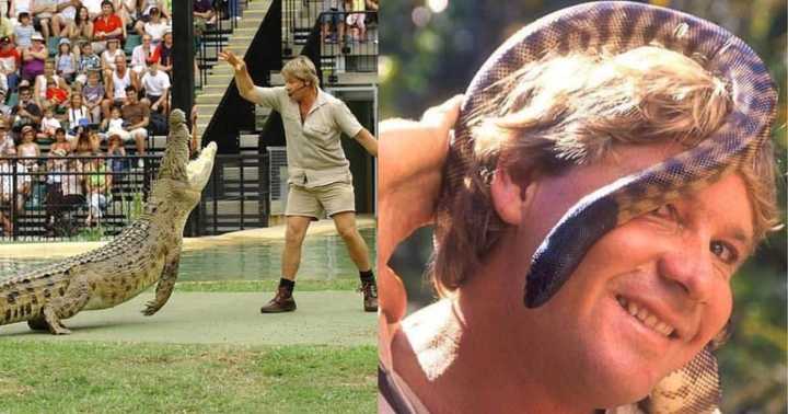 How did Steve Irwin die? Here is the untold story of The Crocodile ...
