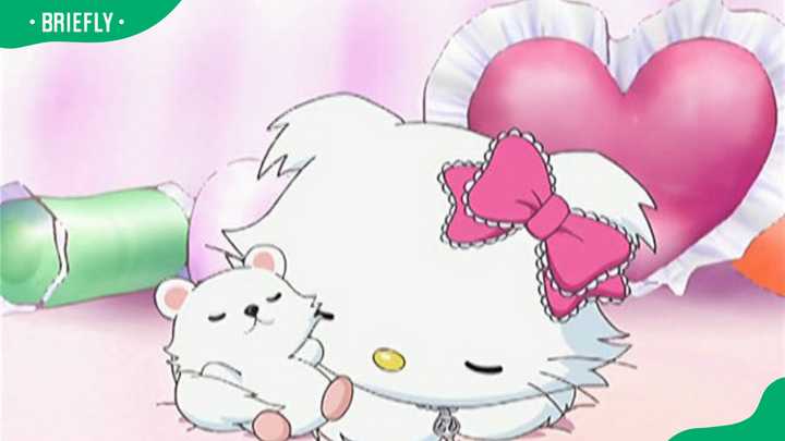 All Sanrio characters explained: from Hello Kitty to lesser-known ...