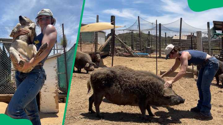 Lean Beef Patty: age, life, and net worth of the fitness YouTuber ...