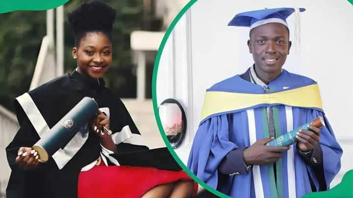 TUT courses available for 2024-2025: complete list with faculties ...
