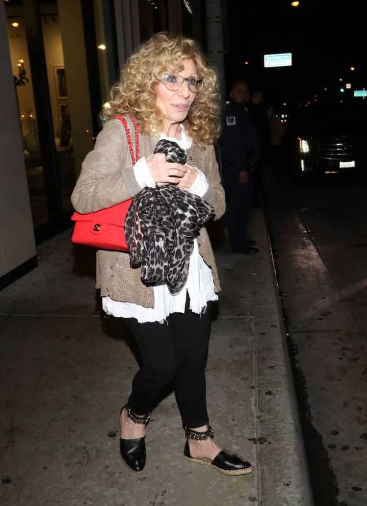 Sandi Graham: Everything you do not know about Drake's mom - Briefly.co.za