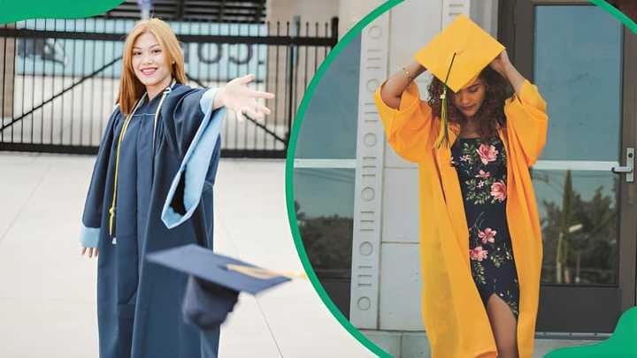 TUT courses available for 2024-2025: complete list with faculties ...