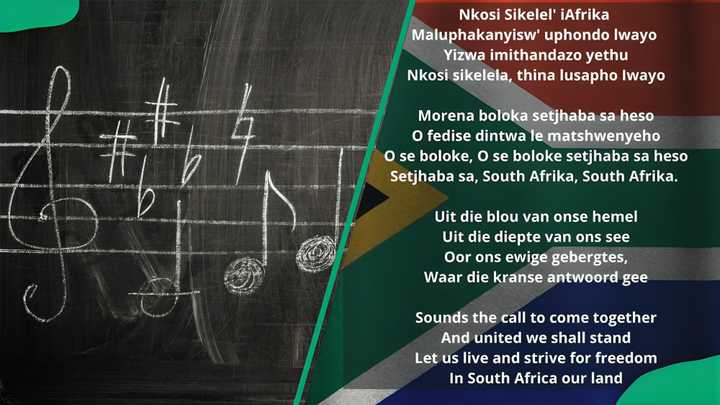 What are the national symbols of South Africa and what do they mean ...