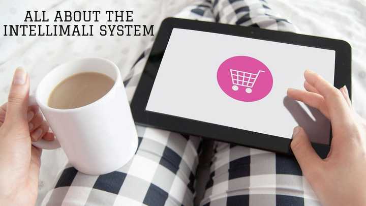 The Intellimali system: All details you need to know about it - Briefly ...