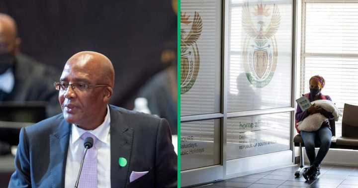 Minister Aaron Motsoaledi Asks SIU To Probe Fraud at Home Affairs ...