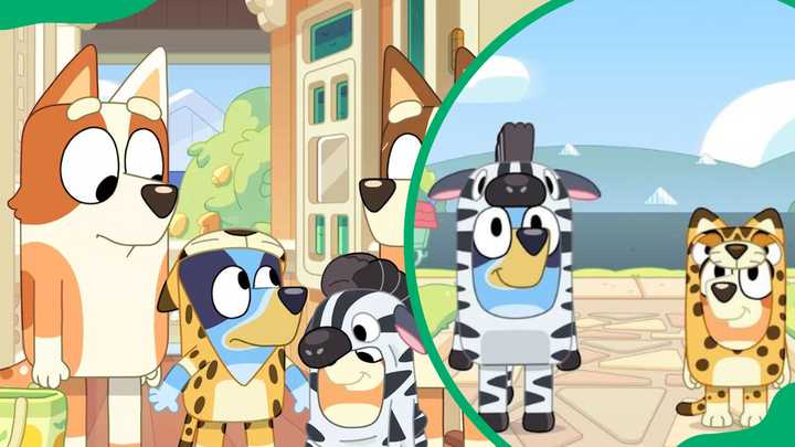 Heart-wrenching sad Bluey episodes that will make you cry - Briefly.co.za