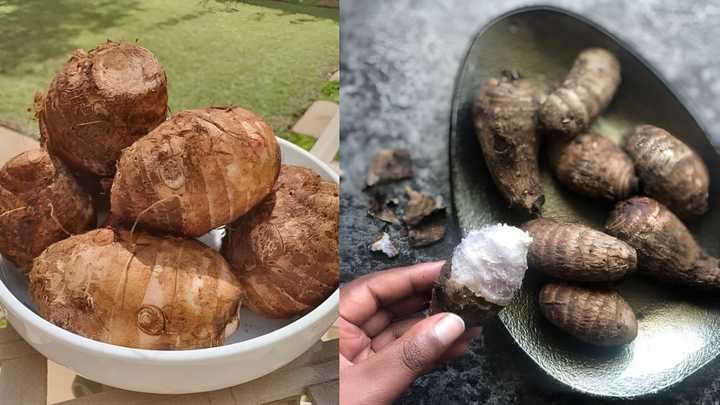 Top 17 best Zulu traditional foods: meals and drinks with pictures ...