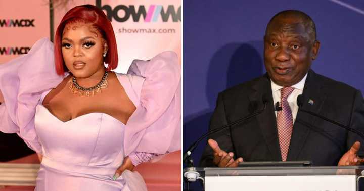 Patrice Mostepe, Jeff Radebe, Other Famous and Wealthy People Related ...