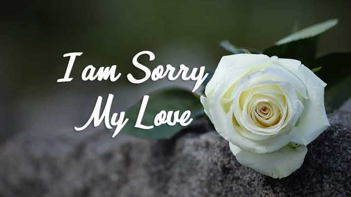 100+ genuine apology messages for him and her: Sorry messages - Briefly ...