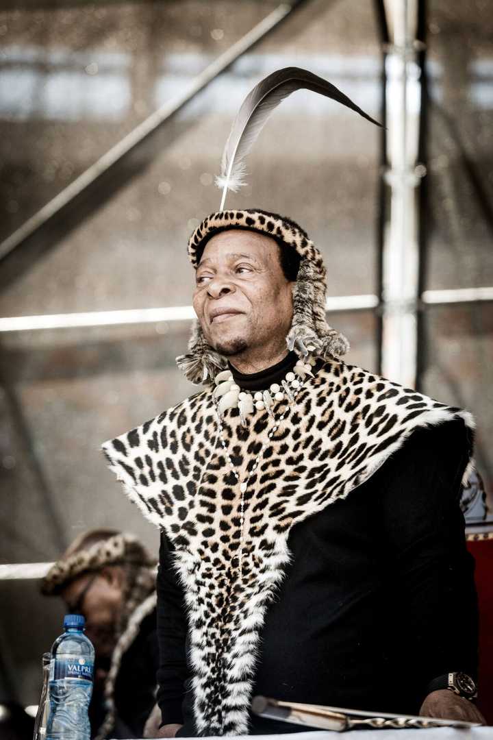 All King Zwelithini's sons and their personal stories | Who are they ...