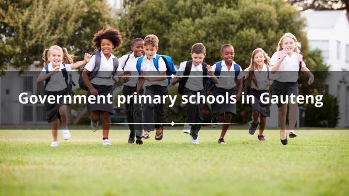 Here is a list of government primary schools in Gauteng (2026 ...