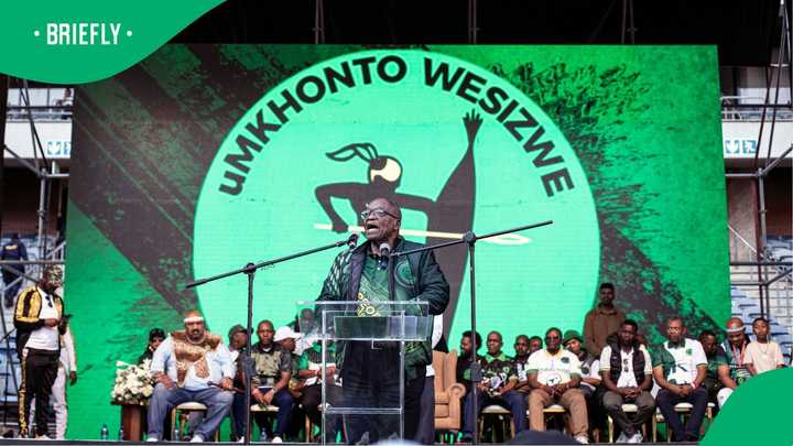 MKP - uMkhonto we Sizwe Party Latest News, Reports and Updates on ...