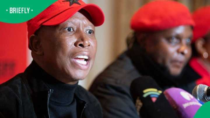 Julius Malema Latest News, Videos, Photos on Briefly.co.za