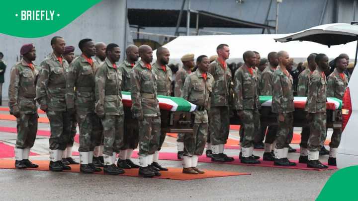 South African National Defence Force - SANDF News on Briefly.co.za