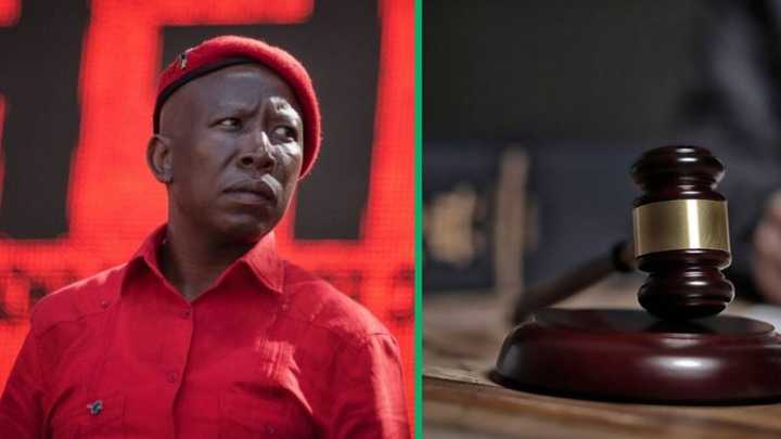 AfriForum Latest News, Legal Cases, Updates on Briefly.co.za