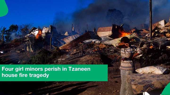 Limpopo Latest News, Updates and Reports on Briefly.co.za